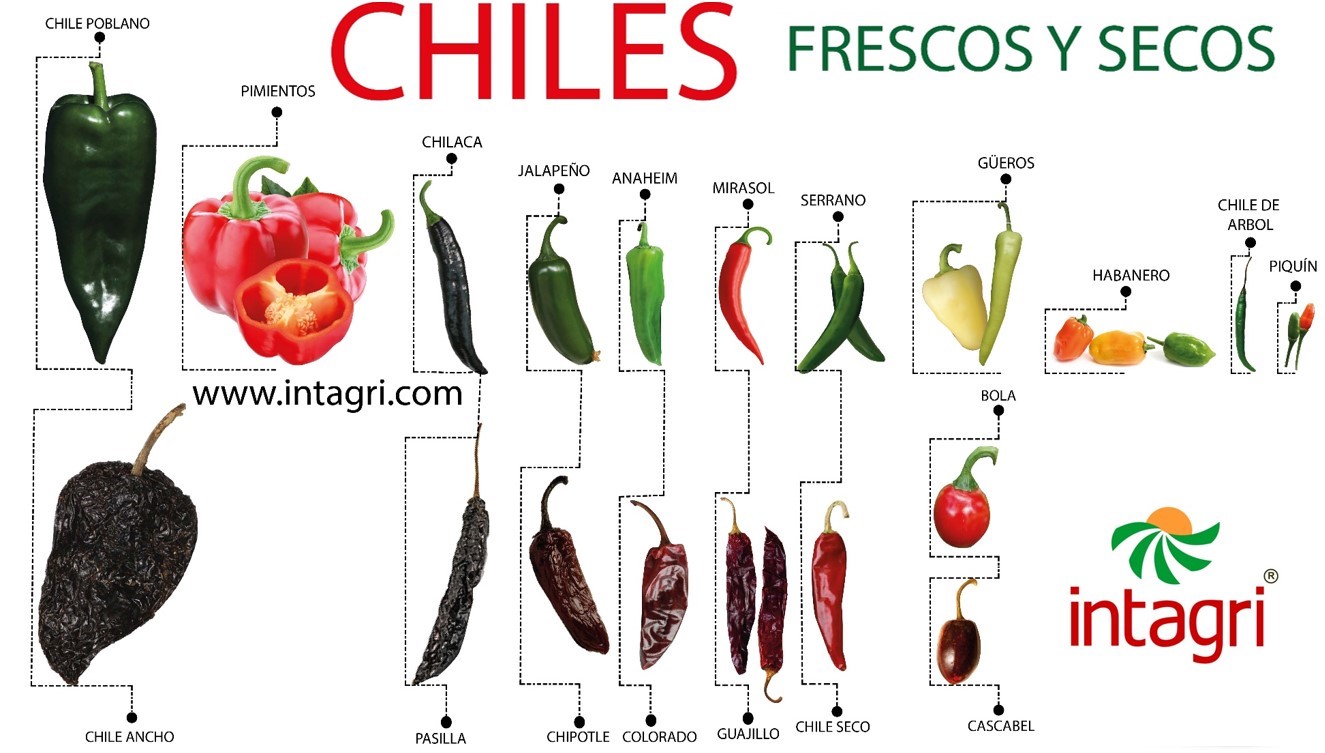 Tabla De Tipos De Chiles